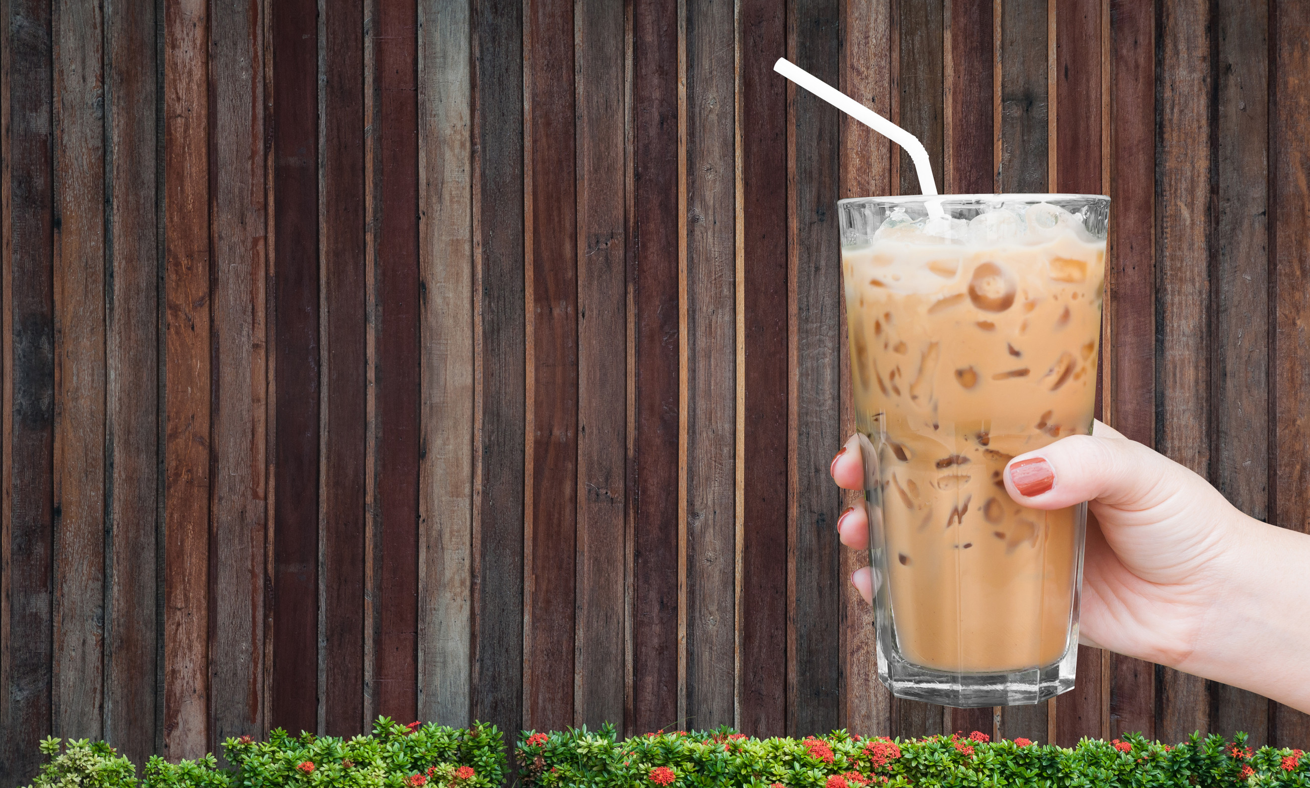 Rich Tea Vernon - Premium Tea House